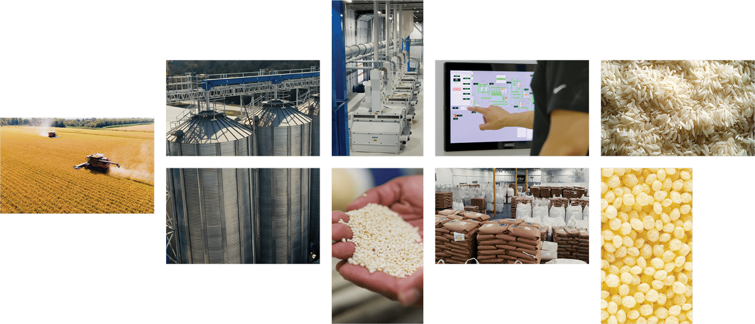 About Us - Western Foods