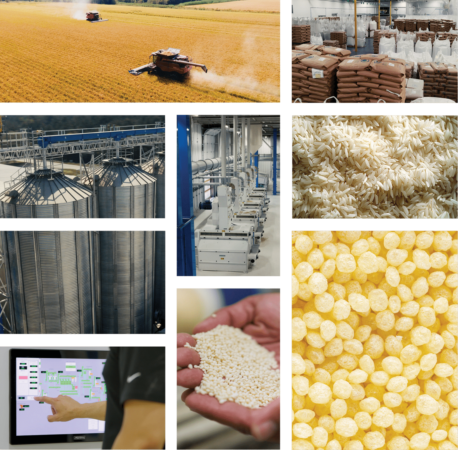 About Us - Western Foods