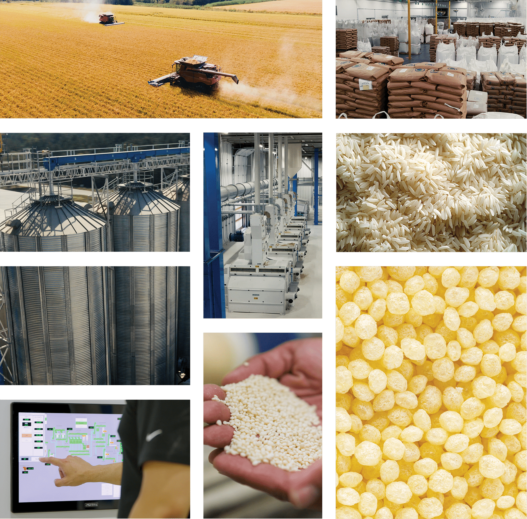 About Us - Western Foods